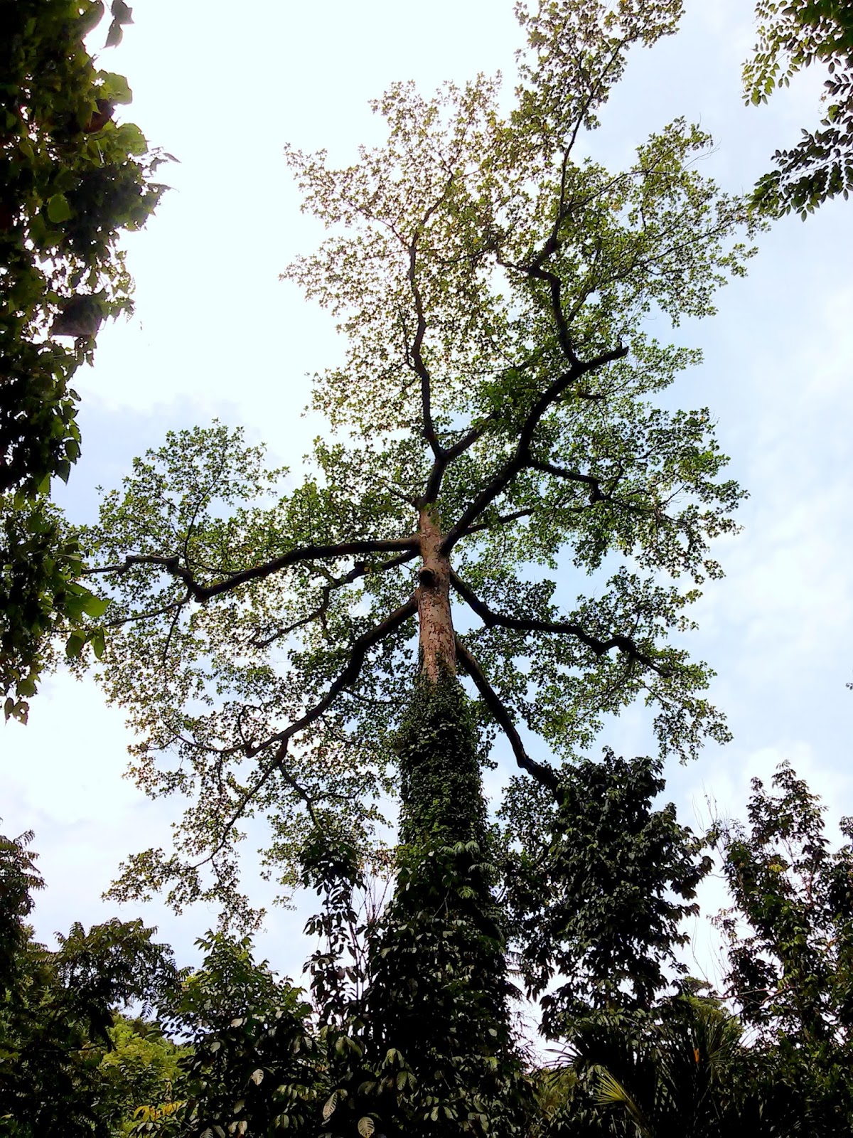 Batangas Travel Destinations and Nature Tripping - moredantravels