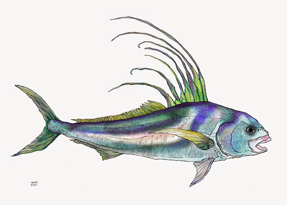 NANU Illustration - A Blog of Illustrations and other art stuff