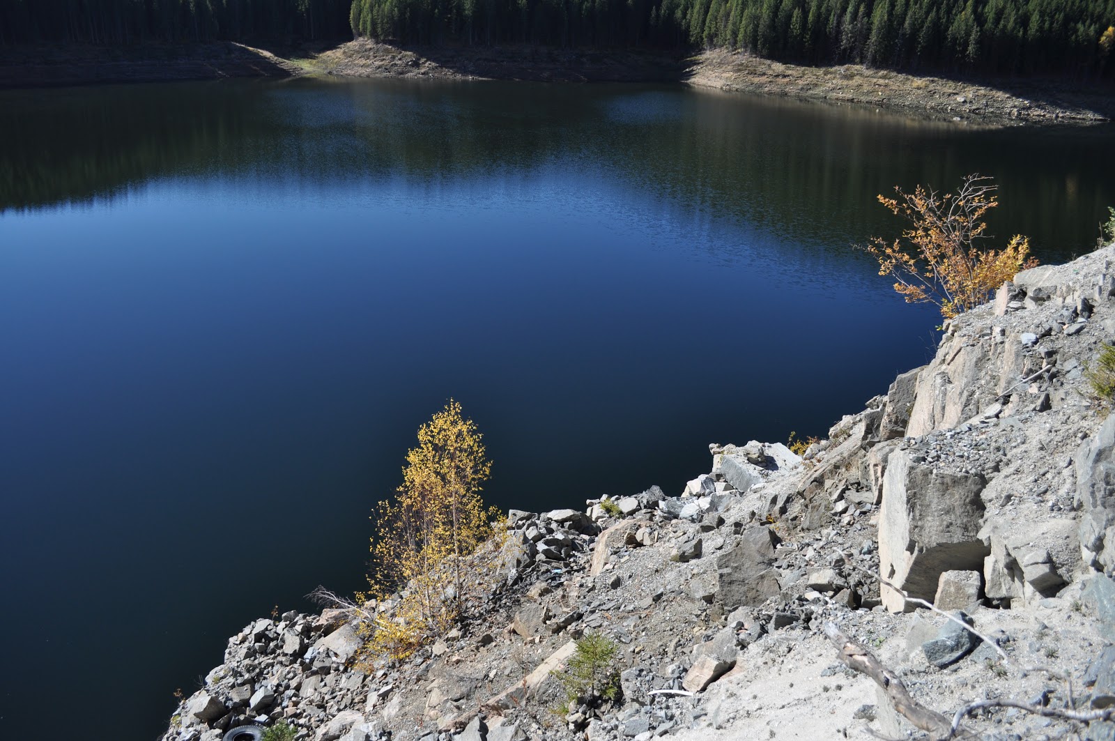 Poze, Natura, Animale, Plante, Romania, Valcea, Ionut Ungureanu