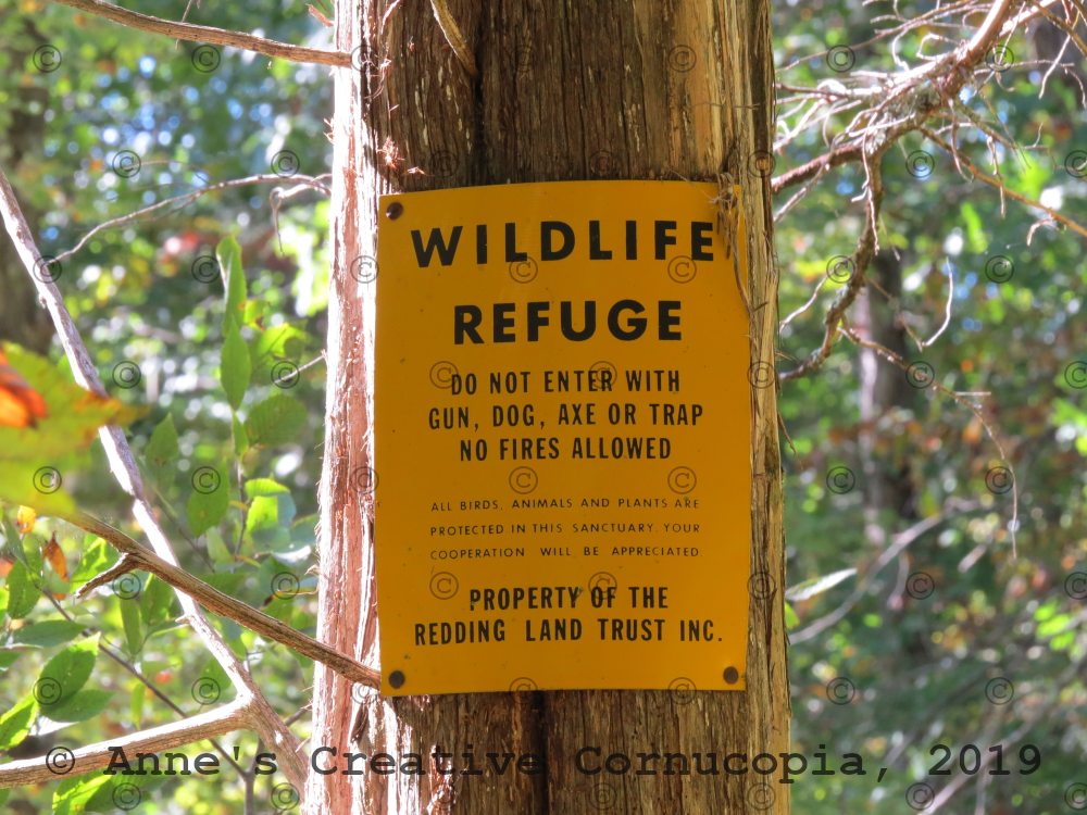 Anne's Creative Cornucopia: Fall Foliage and Wildlife Refuge Sign ...