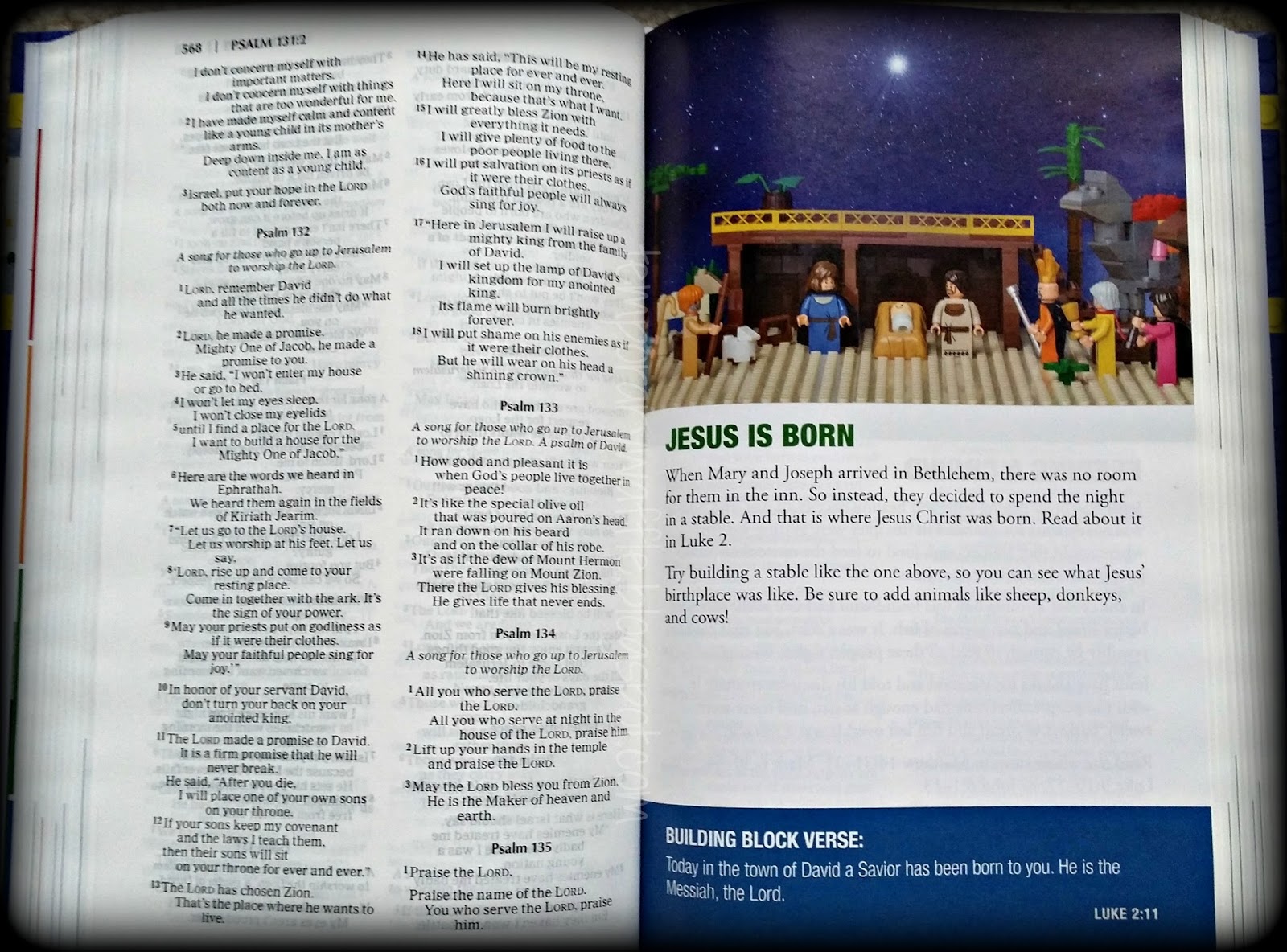 Temporary Waffle: Faith Builders Bible, NIrV- Perfect For Lego Lovers ...