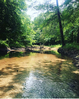 Beautiful Places: Blue Springs State Park Alabama