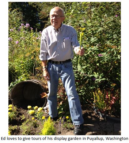 Urban Sketchers Tacoma: 2nd Wednesday outing: August 10 Ed Hume Seeds