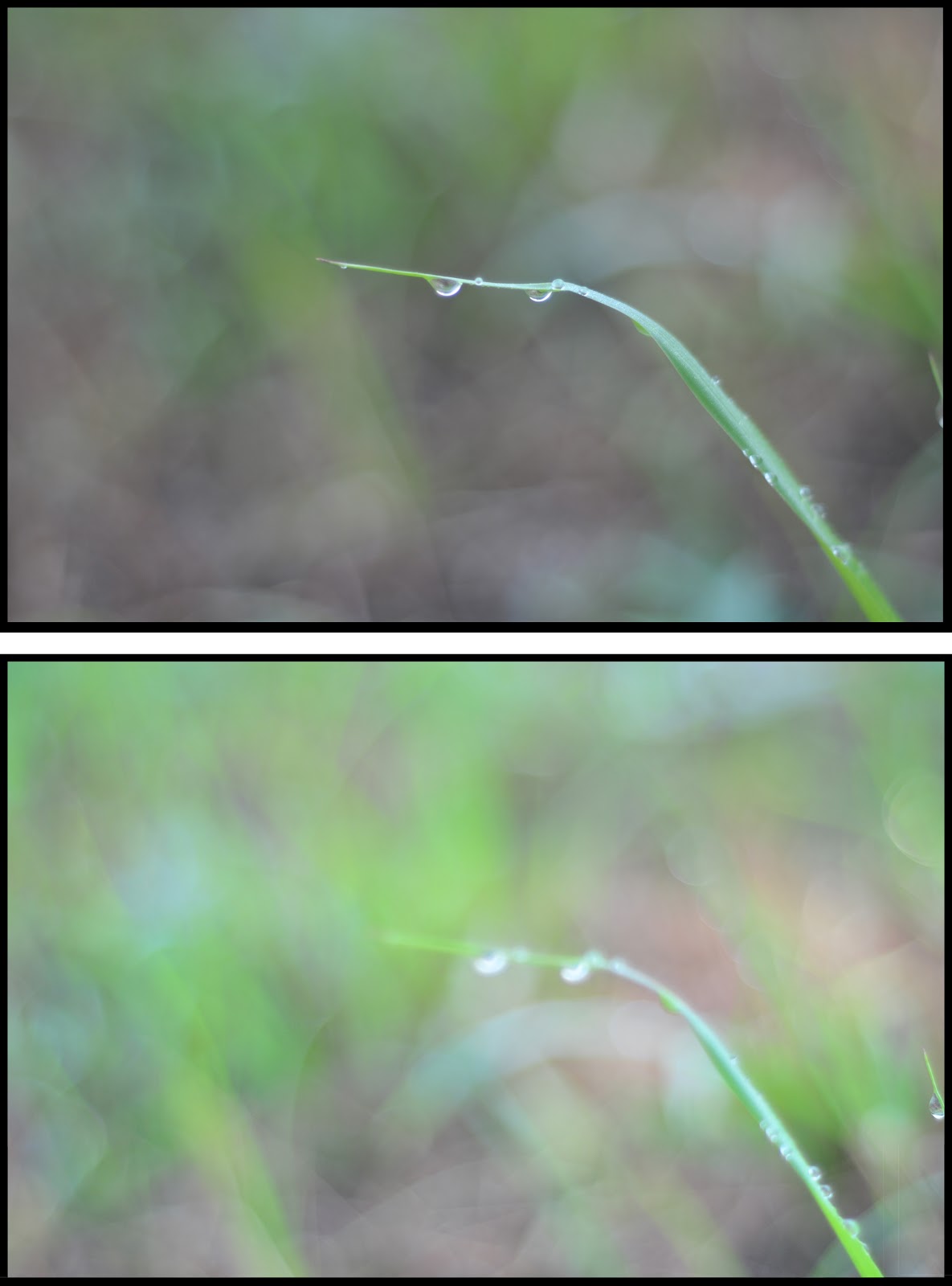 Visual Static: assignment 1 (correct and incorrect images)