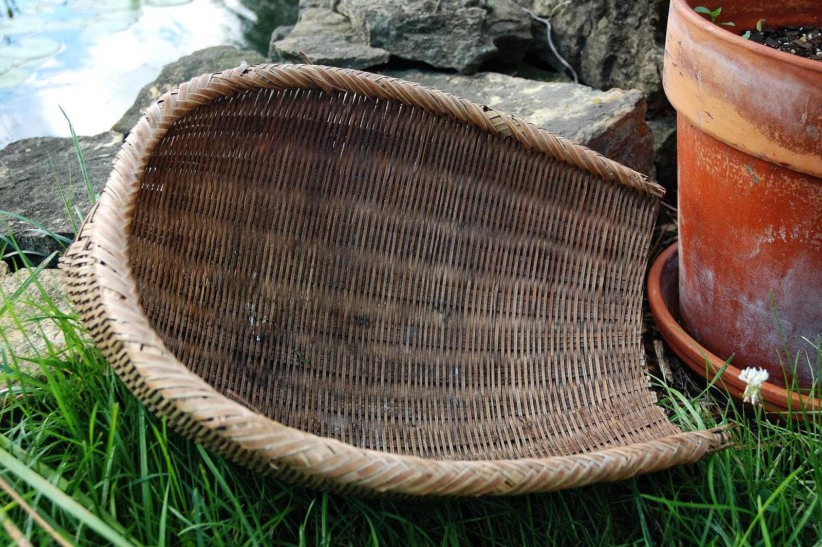 Shallow Thoughts from Iowa: Interesting scoop-shaped basket