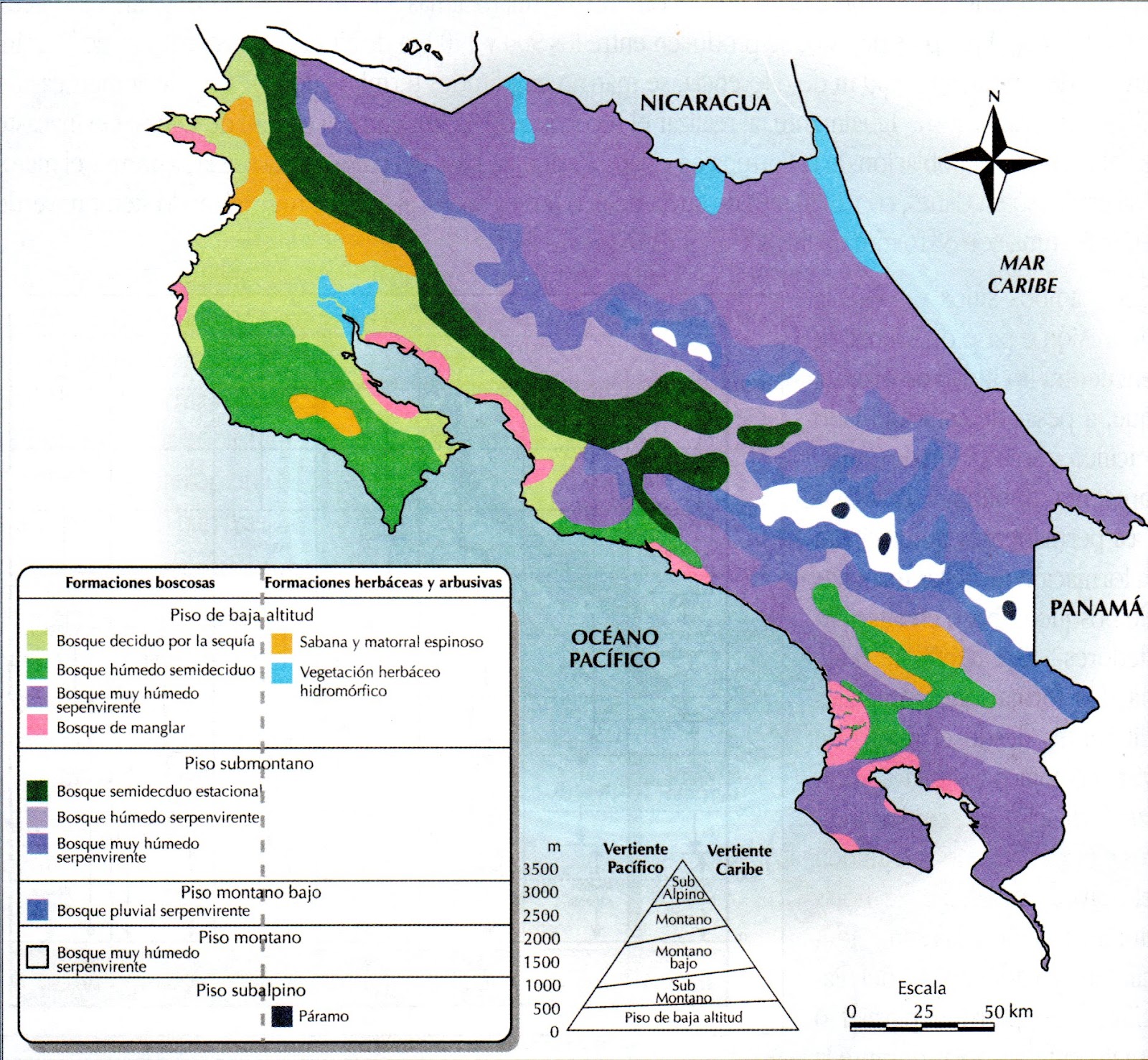 Bosque tropical muy húmedo
