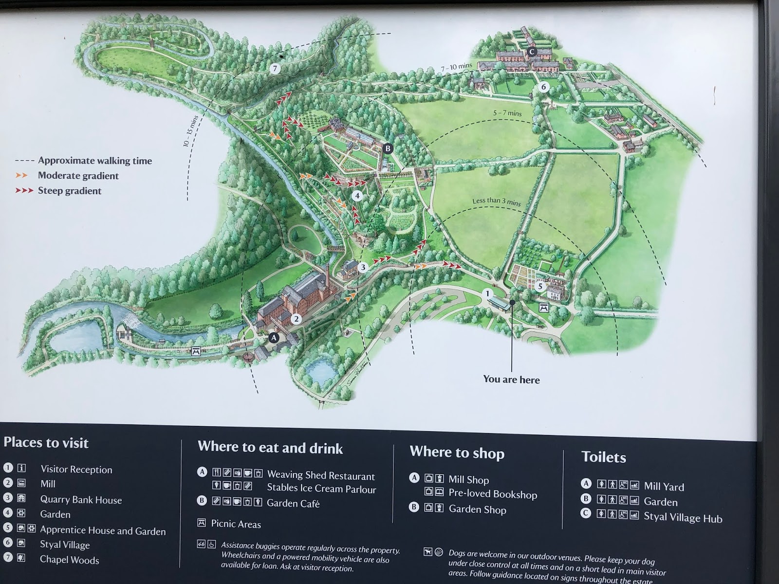 Wandering Baby: Quarry Bank