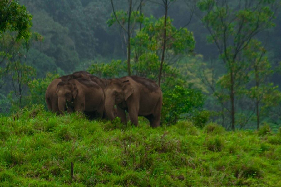 Gods Own Country: Gavi Eco Tourism