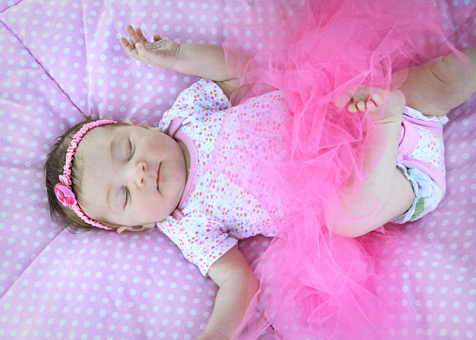 Kelly Knapp Photography