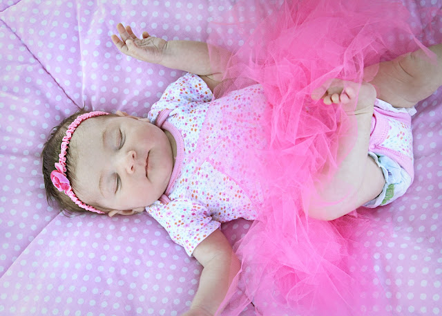 Kelly Knapp Photography