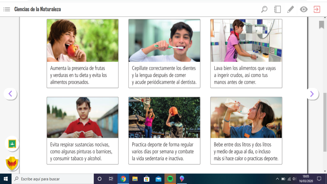 CEIP LUIS BUÑUEL SEXTO C: Tarea 2 para naturales de sexto CEIP LUIS BUÑUEL SEXTO C: Tarea 2 para naturales de sexto