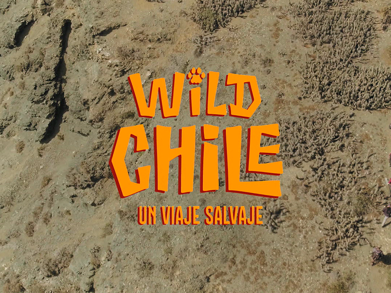 Biblioteca SSCC: "WILD CHILE: CNTV INFANTIL"