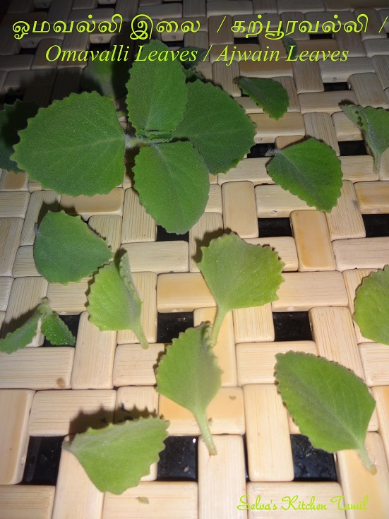 Selva's Kitchen Tamil: ஓமவல்லி இலை பஜ்ஜி / கற்பூரவல்லி பஜ்ஜி / Omavalli ...
