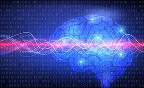Le Cerveau de l'Enfant et de l'Adolescent: Les Ondes Cérébrales