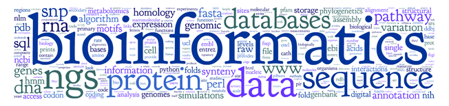 Bio Informatika ~ Jambu Mede