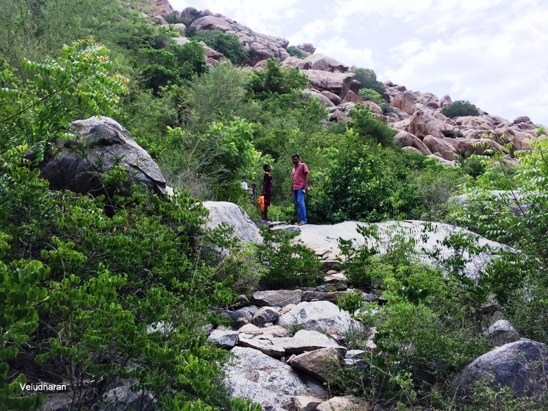 VELUDHARAN TEMPLES VISIT : Prehistoric Rock Arts and Anthropomorphic ...
