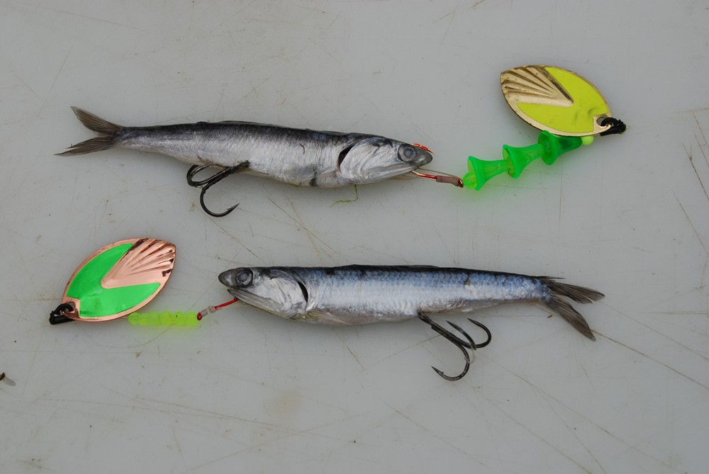 Dean Finnerty's Fishing and Hunting: Gear We Use