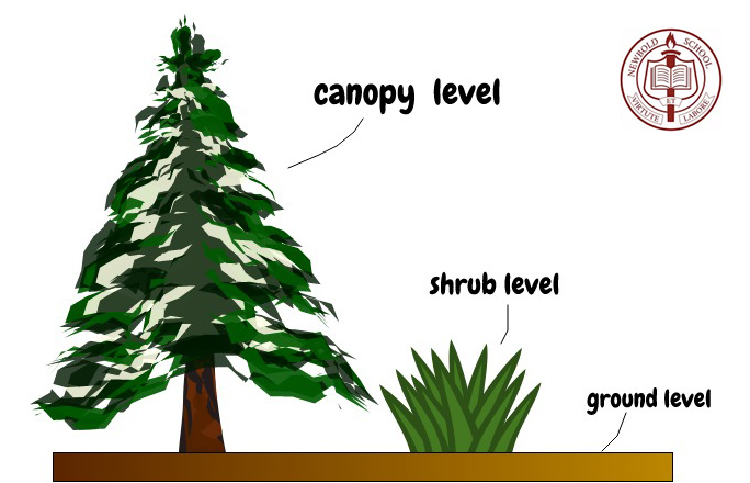 Unit 1 - 1.1 - Explain the vertical and horizontal ecological ...