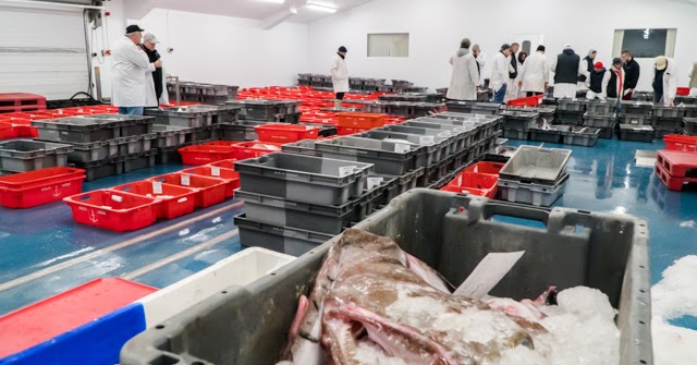 Through the Gaps! - Newlyn Fishing News: First Monday morning fish ...