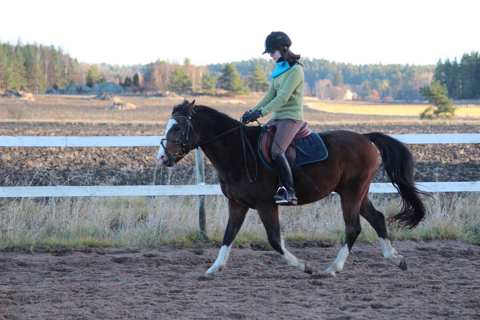 Millan PikkuBlogi: Pohje toimii jo