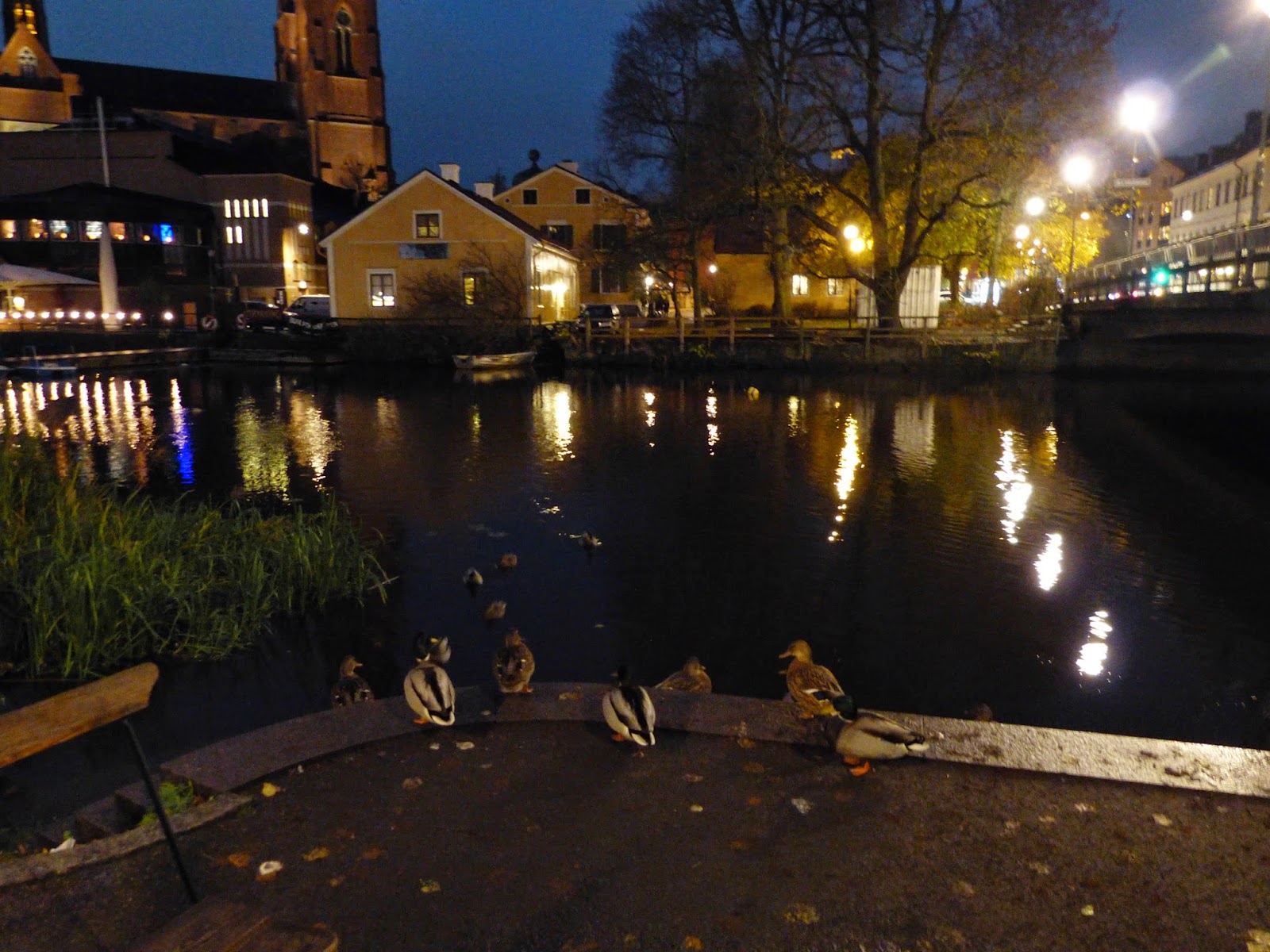 Une année en Swedie !: Uppsala by night