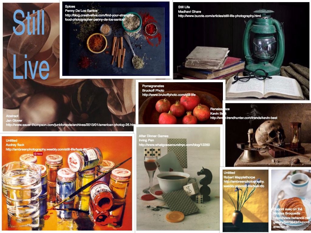 Skyline High School Digital Photography I: Journals 1-10