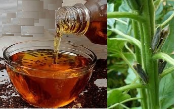 Sesame or Gingili Oil - Health benefits & Medicinal benefits