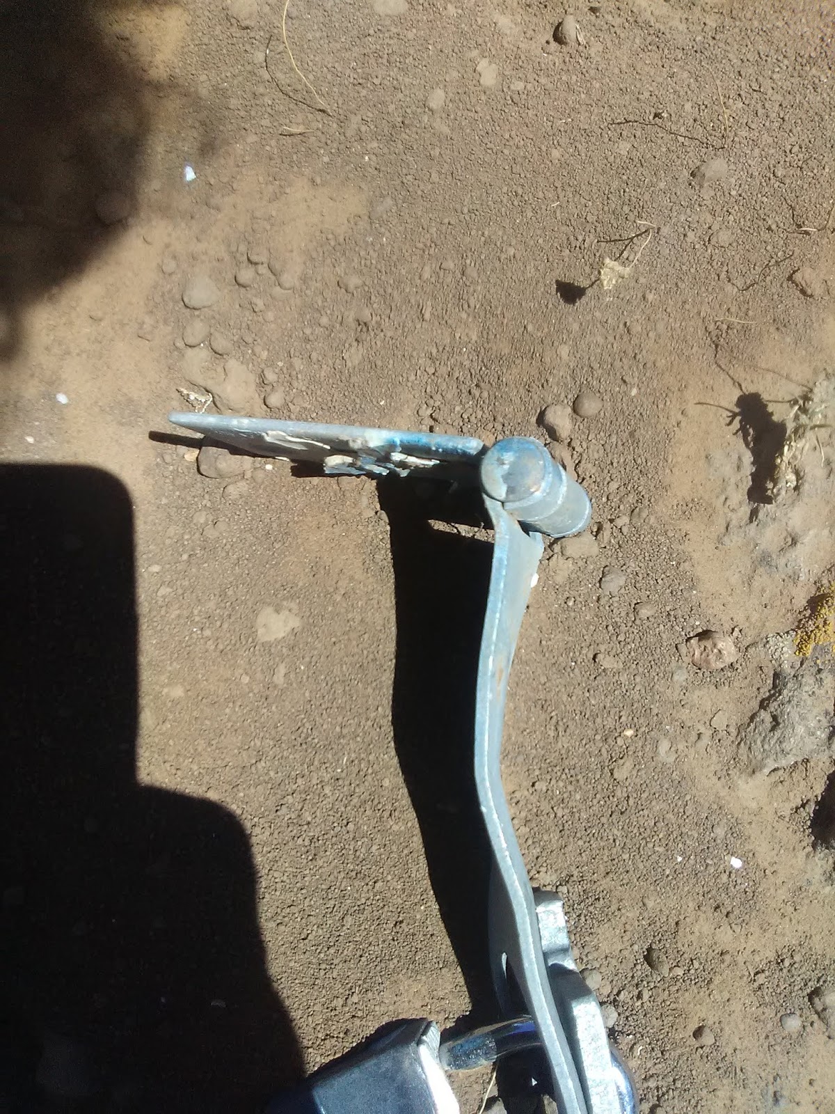 Lee Craven: Lee Craven (Arizona) Overview of Who He is and Some Damages ...