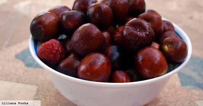 ¿Qué es la azufaifa?