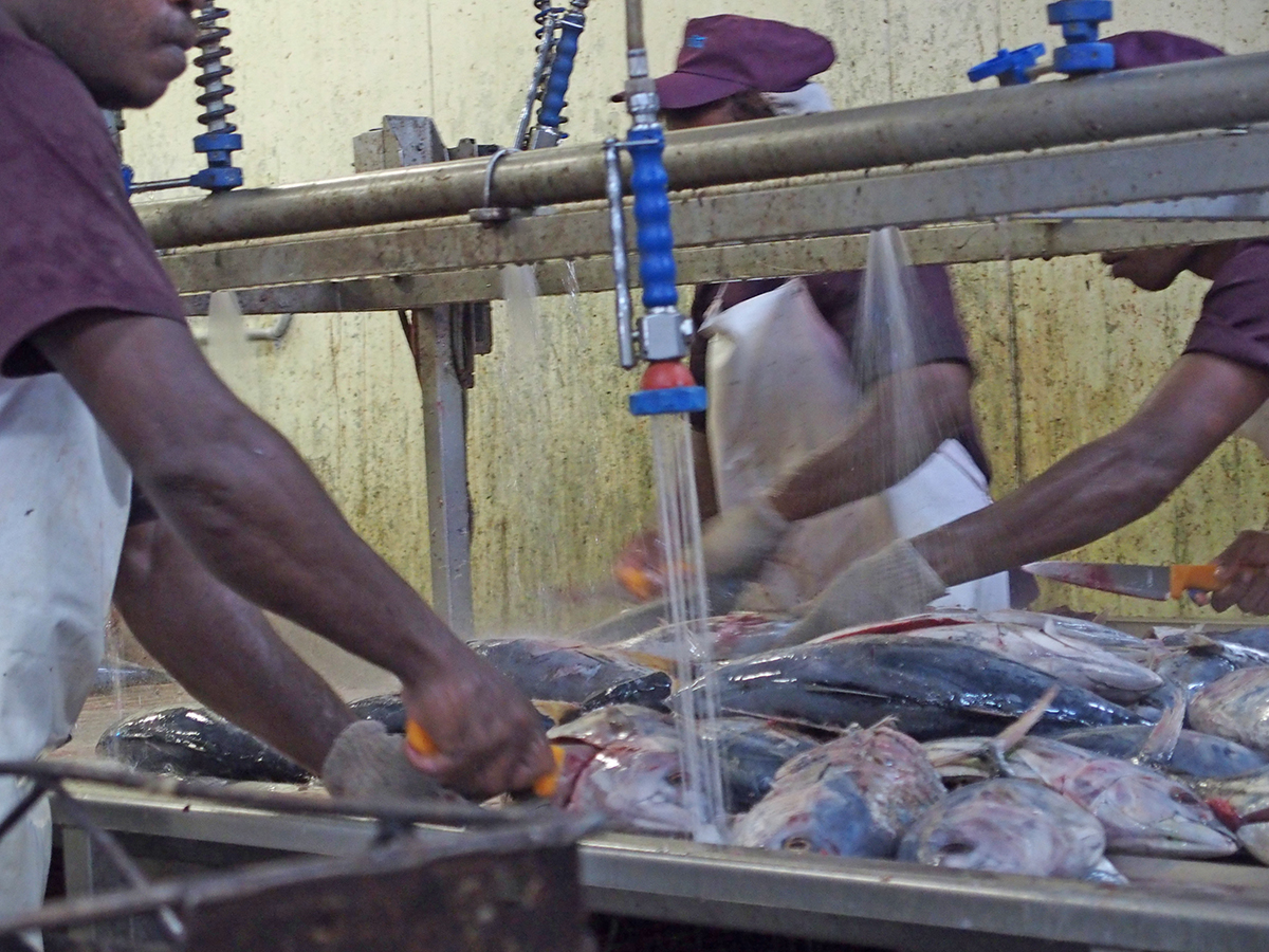 Soltuna Tuna Factory Tour