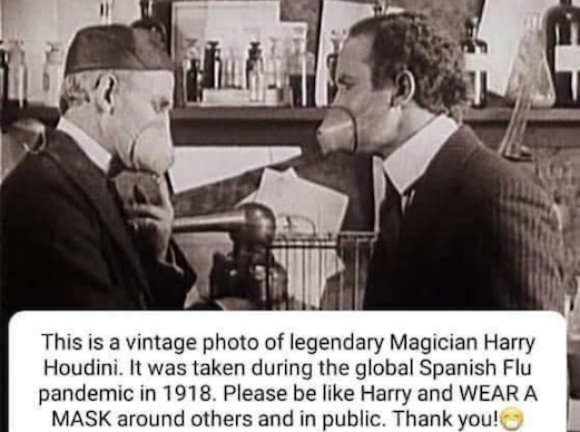 WILD ABOUT HARRY: That meme you've seen