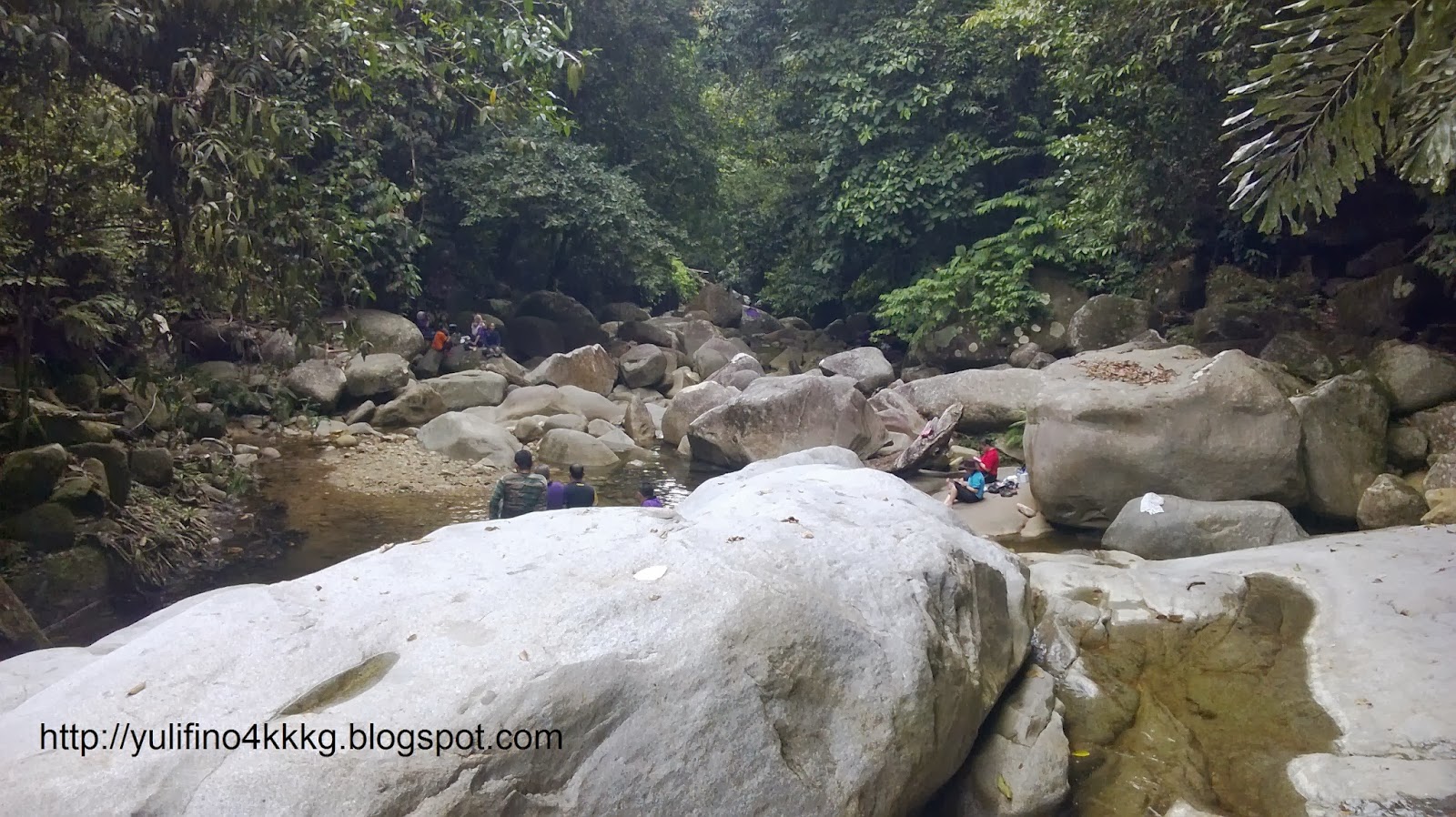 Beau_Dy's Apprentice ;)...: BUNGA RAFFLESIA // Bunga Pakma // Bunga ...