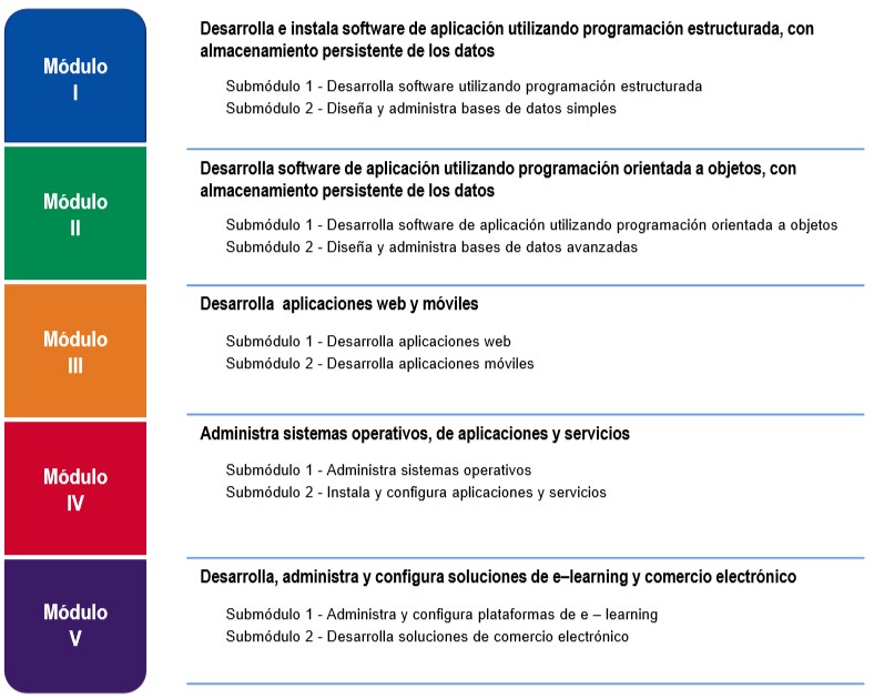 CETips: Programación. Módulo IV