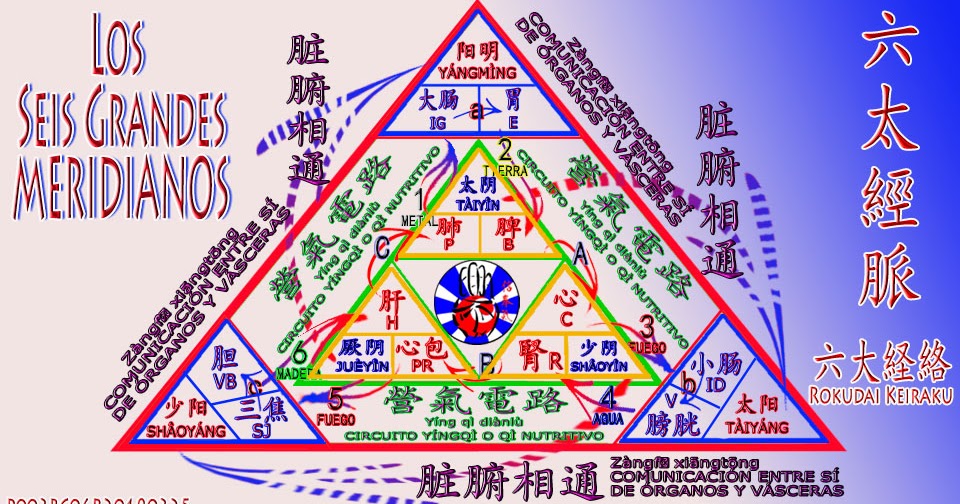 LOS SEIS GRANDES MERIDIANOS y el YING QI