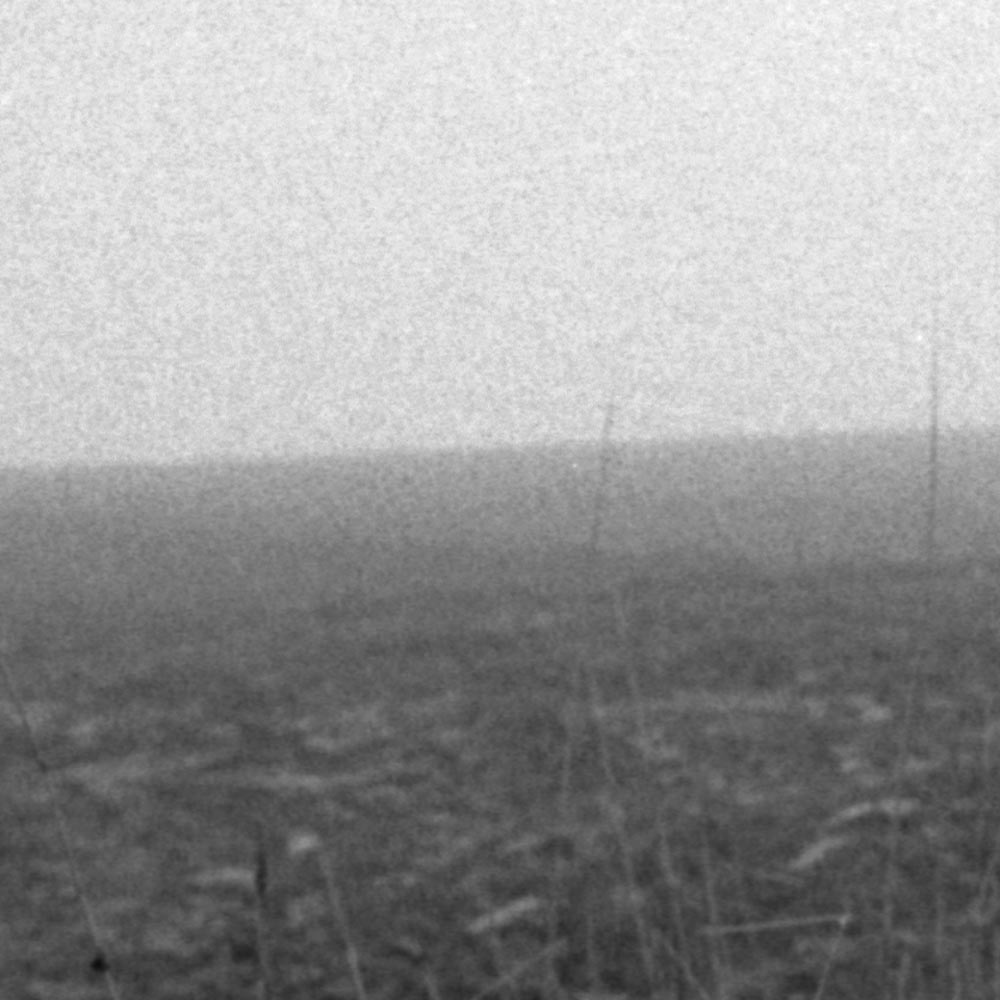 Firstcall 400S developed in Acurol-N | The Online Darkroom