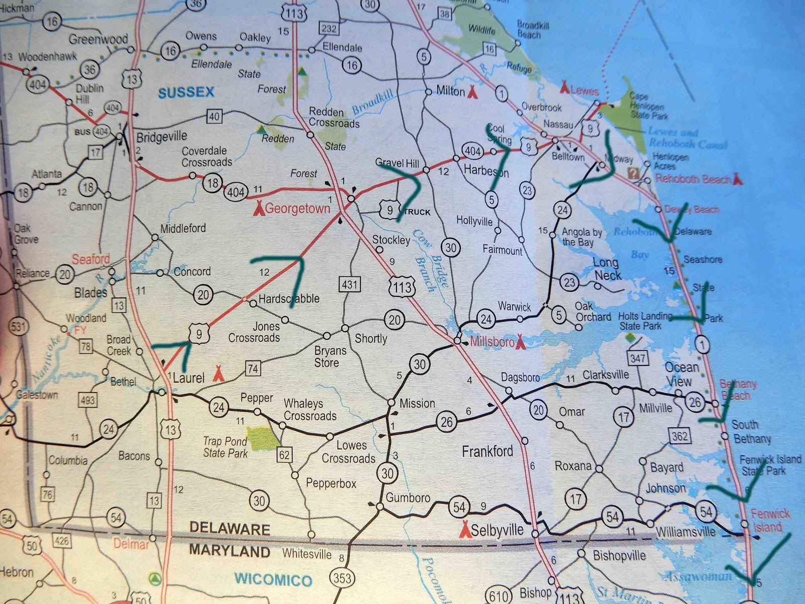 Cat Patches: Lanexa, Virginia