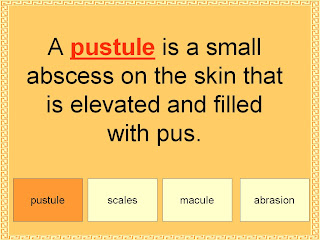 Student Survive 2 Thrive: Free Medical Terminology Practice Test: Skin ...