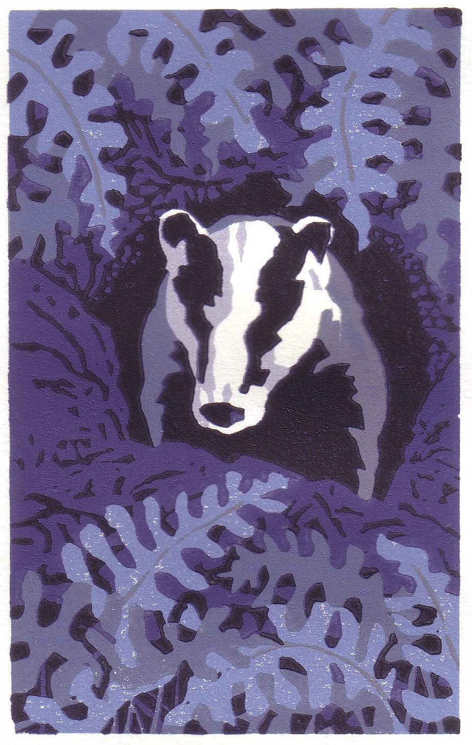 Wildlife with Pen and Brush: Badger Prints