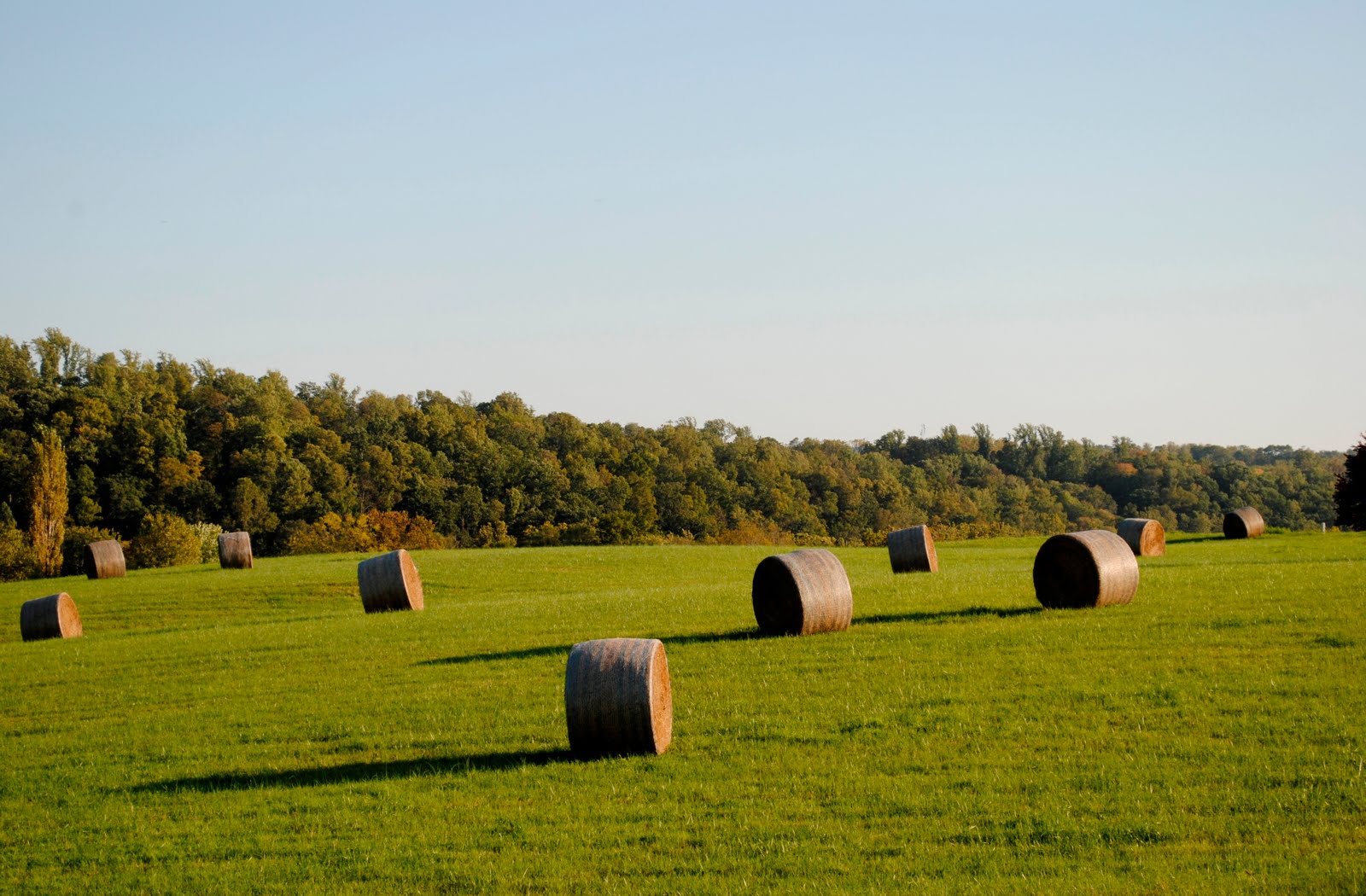 Shenandoah River, Blue Riidge Mountains and Northern Virginia Horse ...