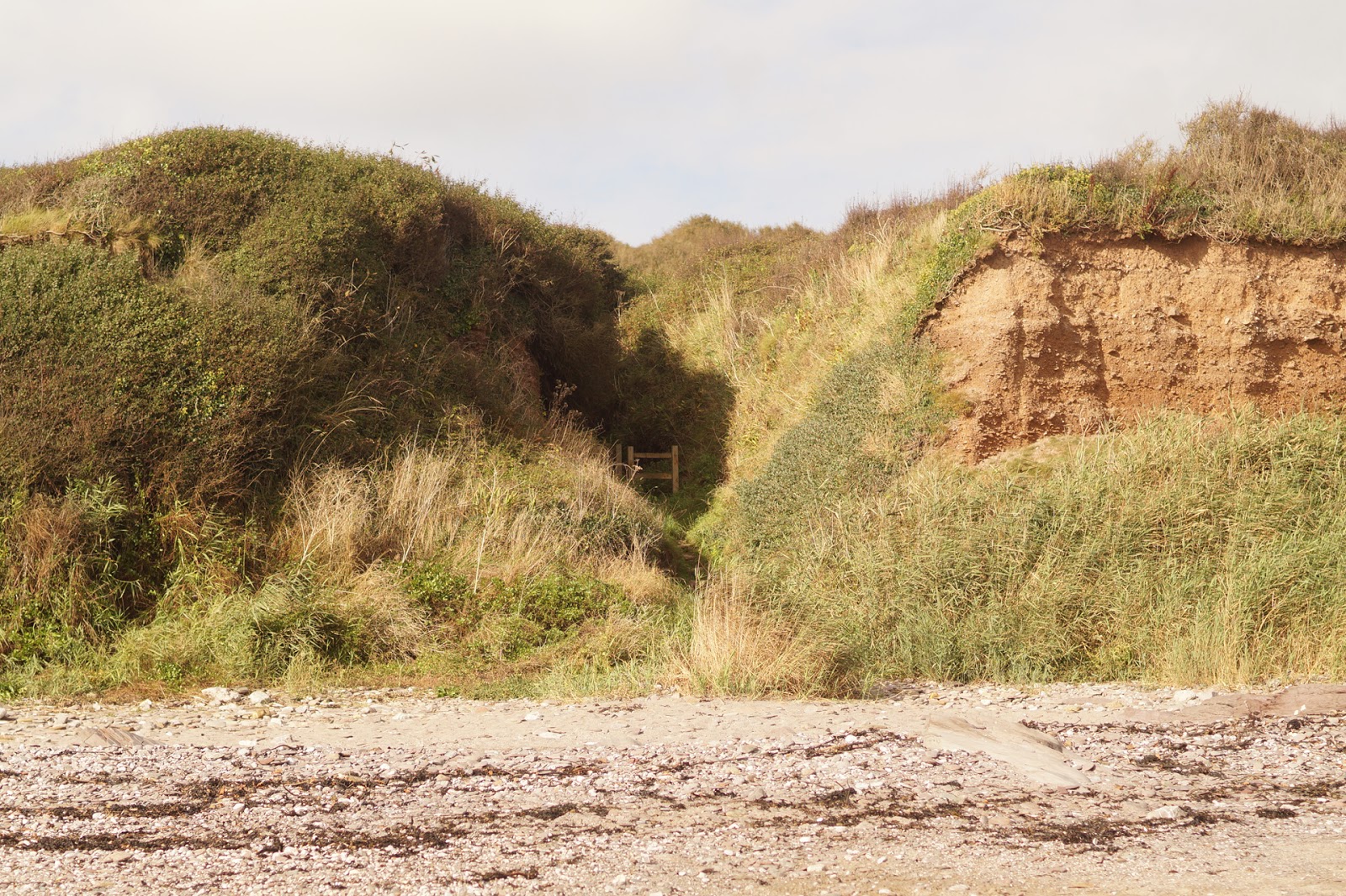 Wembury Point and the Great Mewstone - Sophie in the Sticks