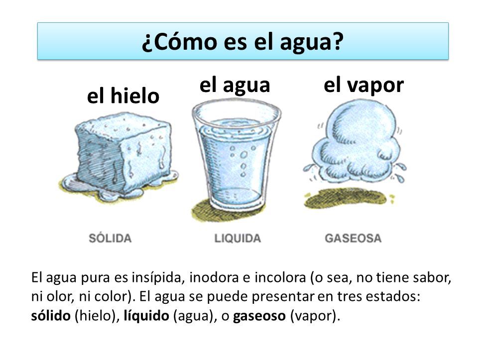 El Mundo de Primero: EL AGUA