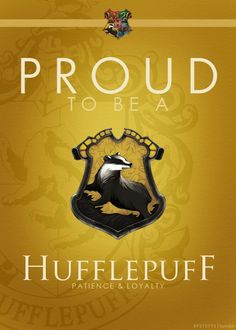 Introducing Team Hufflepuff! - VANDERVISION