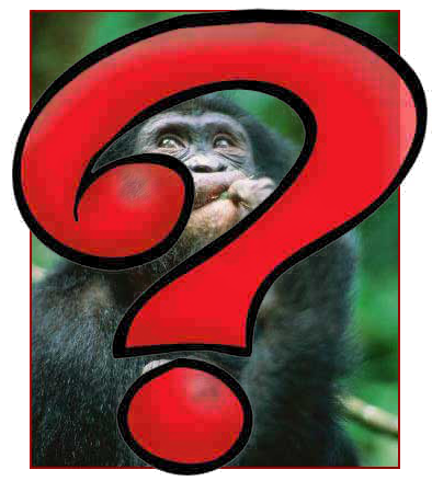 Português Brasil Errado: ***X ou CH