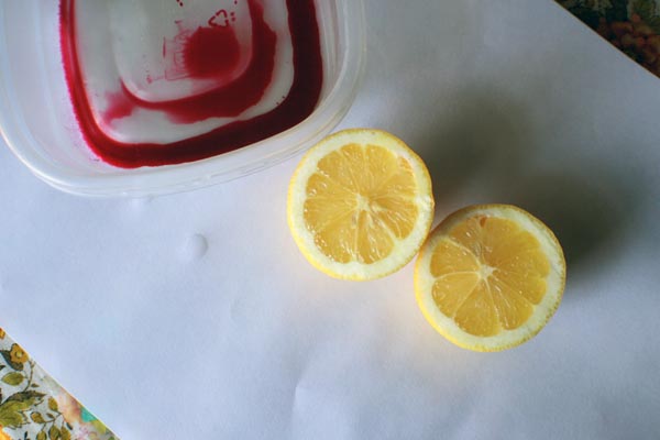 scrumdilly-do!: Picture Book Month: The Red Lemon