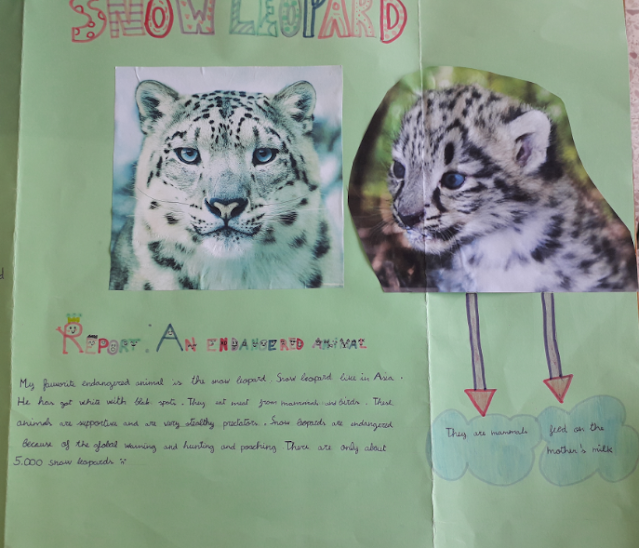 games and songs: Endangered animals projects - 5th Grade