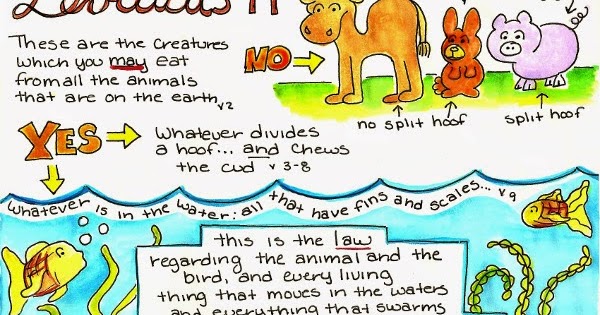 Doodle Through The Bible: Leviticus 11
