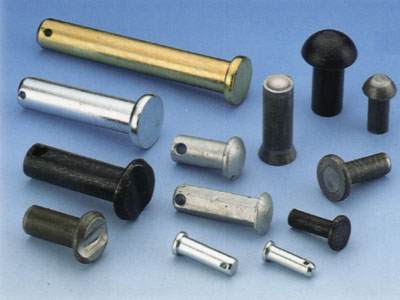 Arquitectura e Ingeniería de Detalle: ROBLONADO