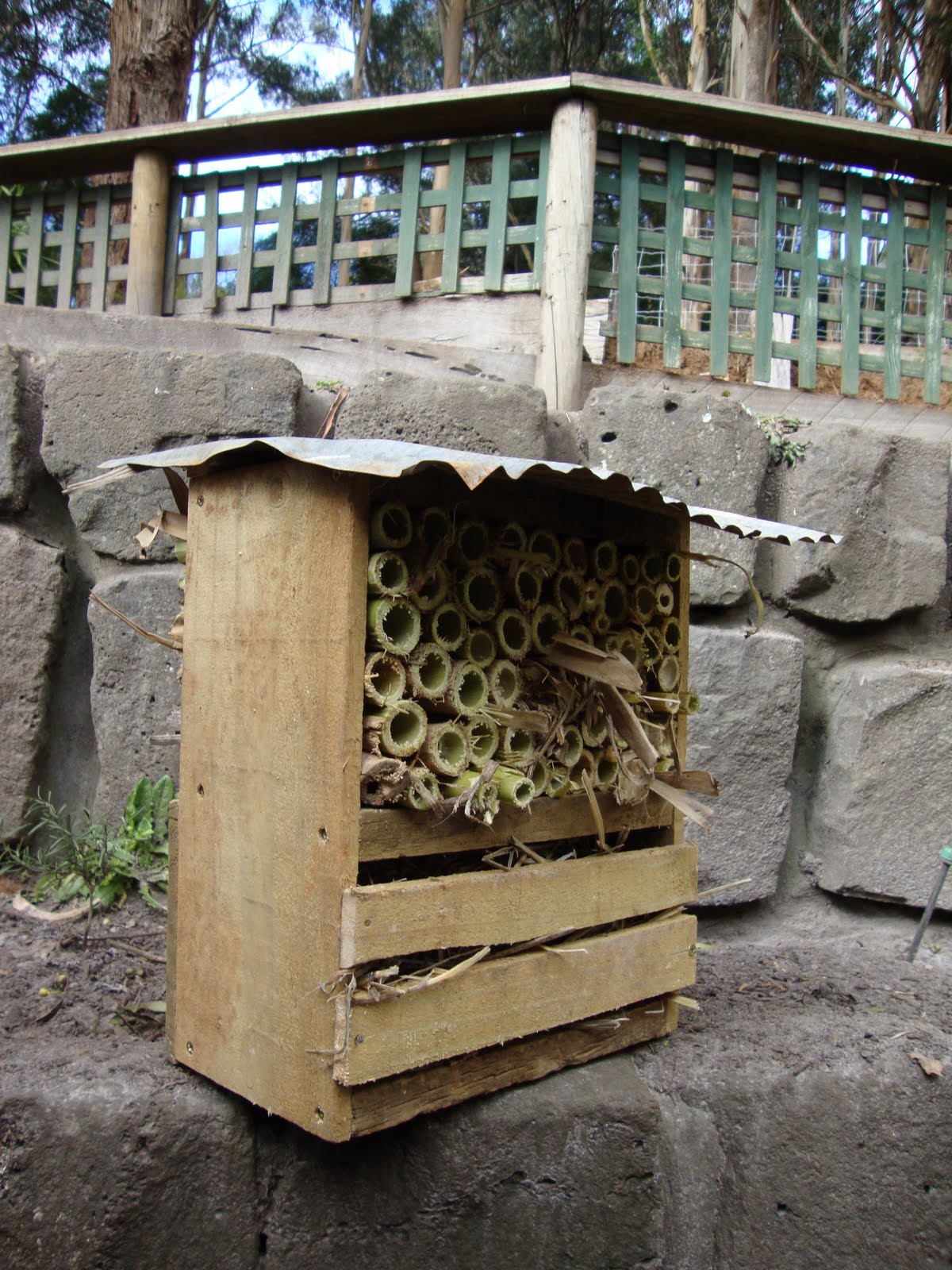 Tim the Garden Farmer: Insect Home to Attract the Good Guys!!!