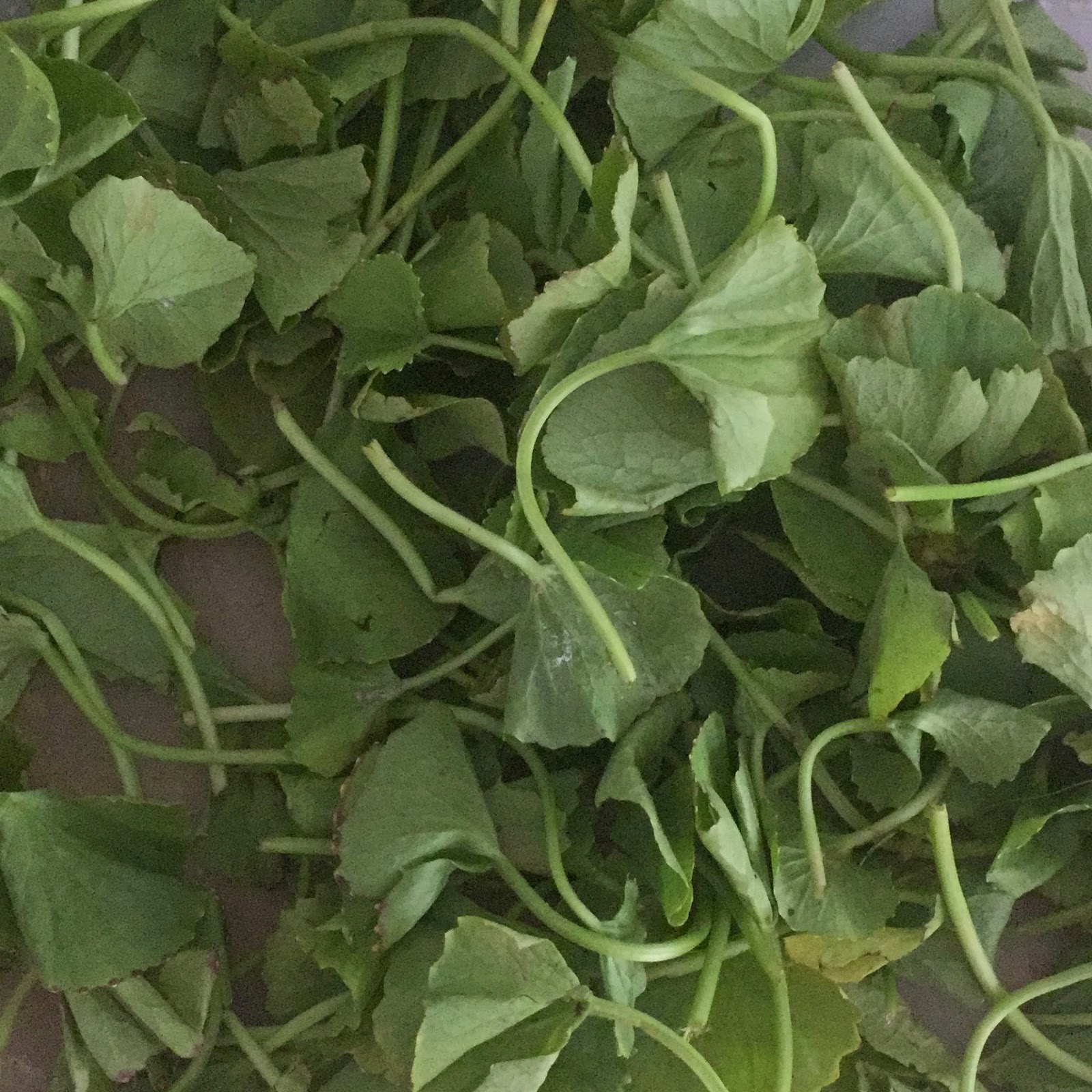 Indulge...: Vallarai Keerai Poriyal | Brahmi Leaves Thoran | Pennywort ...