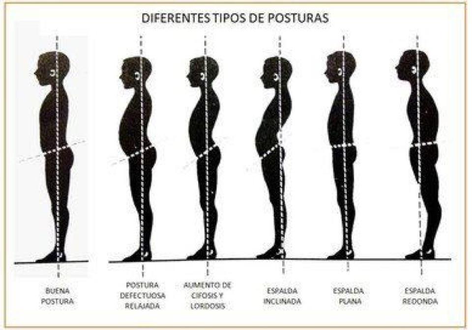 MOVIMIENTOS DE LA PELVIS. Retroversión y anteversión.